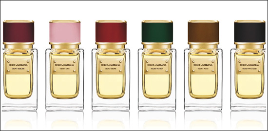 D & G Velvet Collection- A Review | LATTES + LIPSTICK