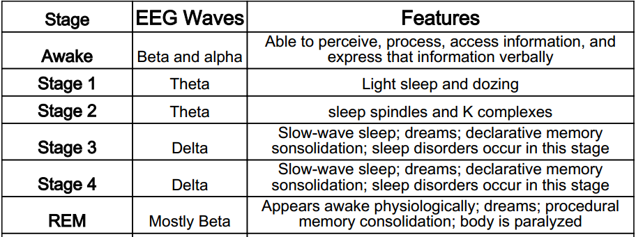 "REM-Related" Sleep Apnea | Apnea Board