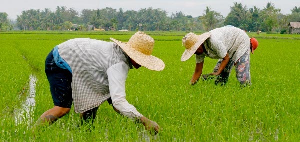 Me Daily...: Manggagawang Pilipino
