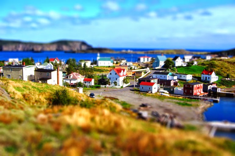 Together Forever Wherever: Two weeks in Newfoundland