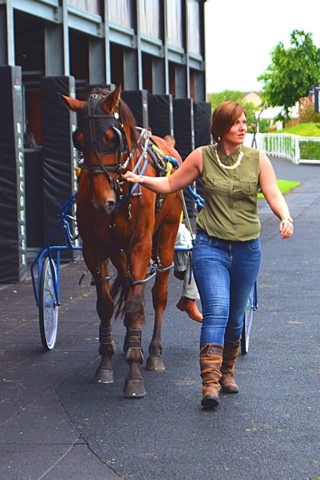Harness Racing in the UK: 2016 Season: Week 8 - the return of Musselburgh