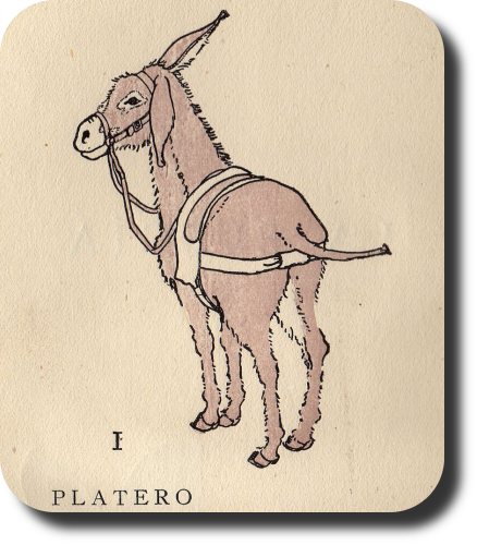 ¡Ya estamos en sexto! - 2018/19: Recordando a Platero