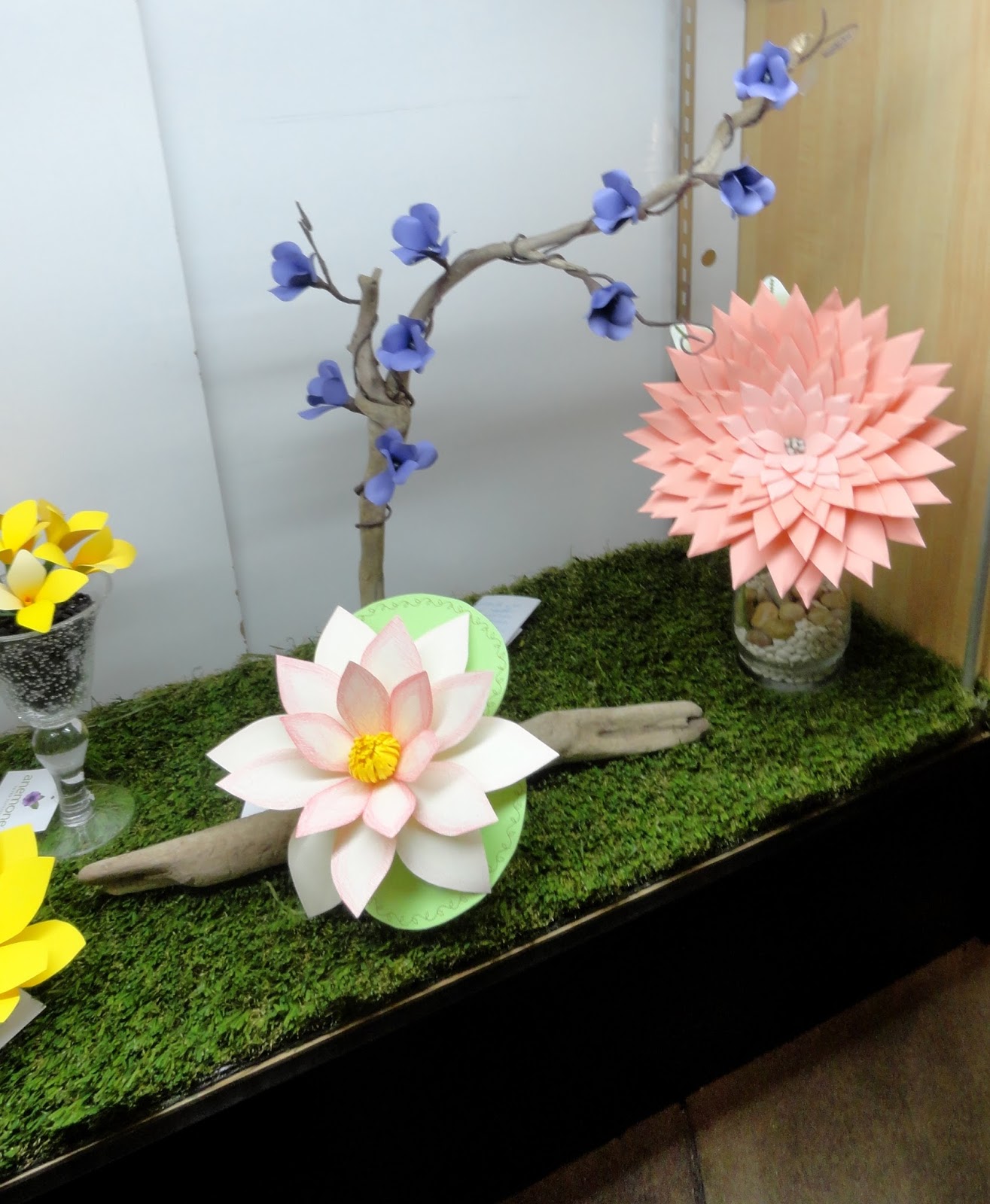 danger garden: Anemone Paper Flowers