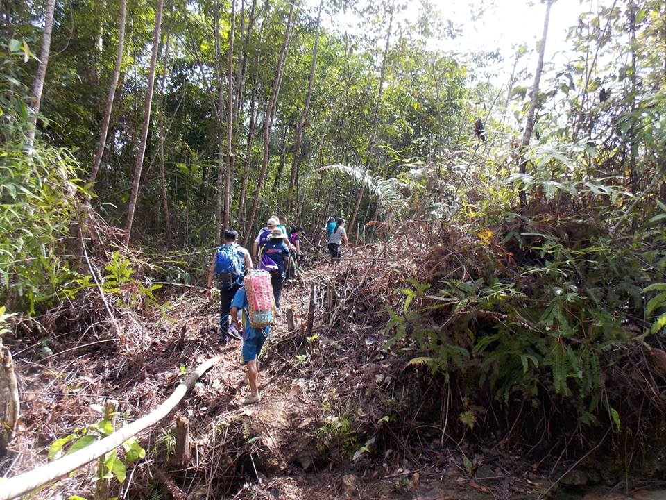 Segah Selaan One Stop Shop & Homestay dengan Air Terjun Tekiwit Yang ...