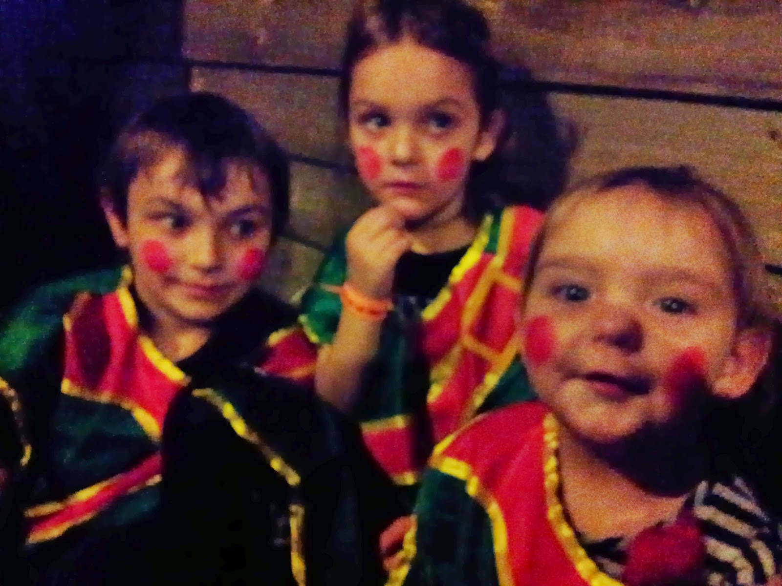 Why we Loved Kingdom of the Elves at Bluestone Wales - Diary of the ...