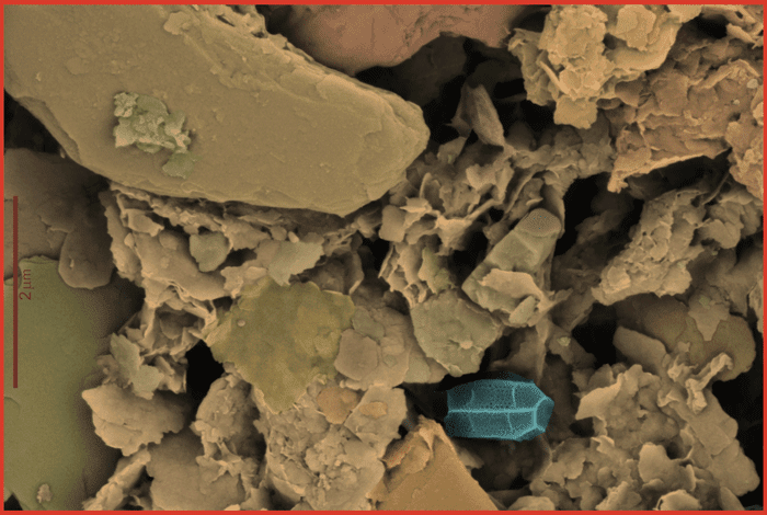 Of Bacteria and Men: A view of microbial life in soil Of Bacteria and Men: A view of microbial life in soil