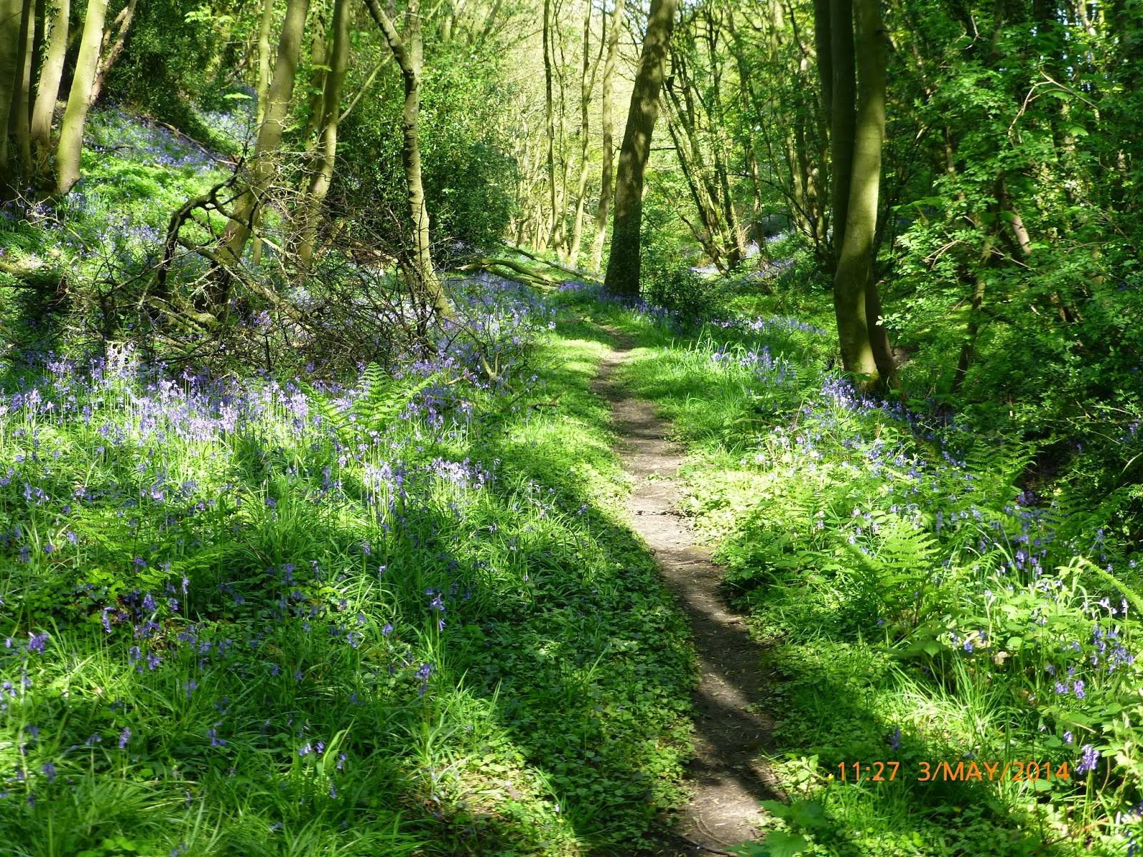 Harris Hikers: Mow Cop and Congleton Edge 3rd May 2014