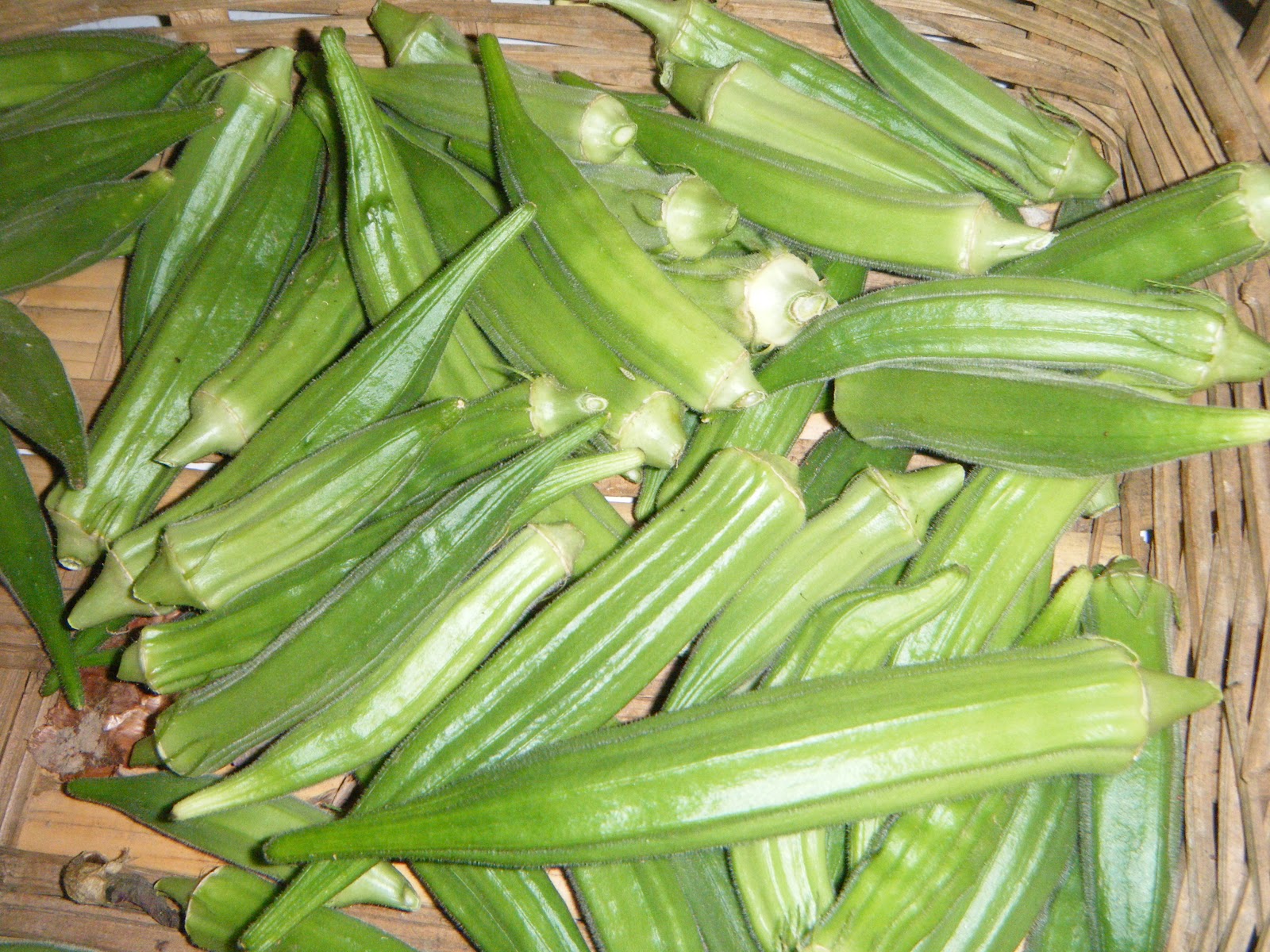 Homesteading Quest : How I Fry my Okra