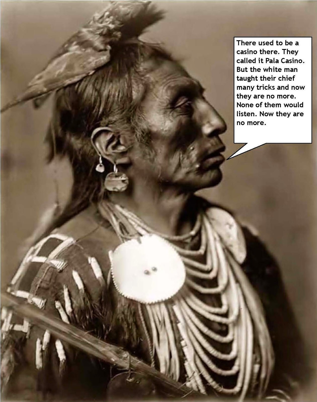 Pala Watch: The Near Future