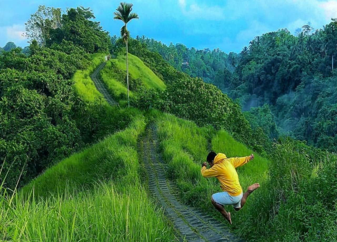 Campuhan Ridge Walk, Intip Suasana Bali yang Berbeda Disini! - Payana Dewa