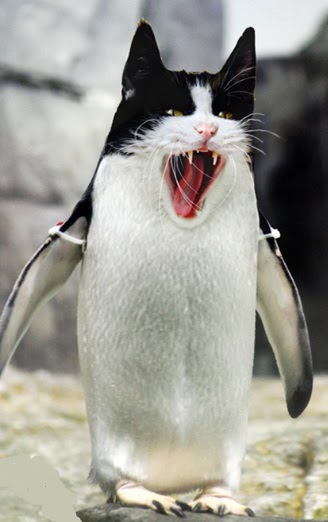 Core French with Mme Batchelor: Les animaux mélangés