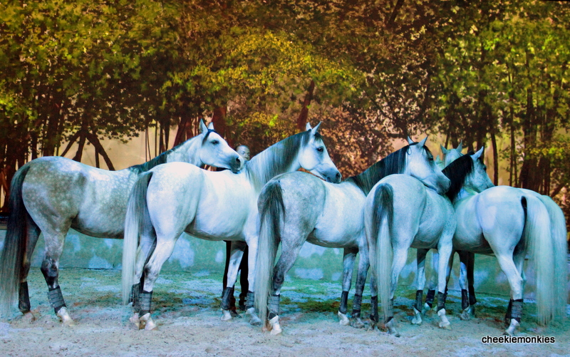 Cheekiemonkies: Singapore Parenting & Lifestyle Blog: Cavalia in ...