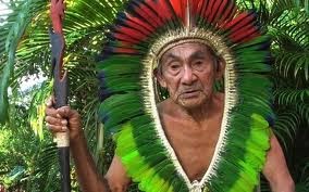 A formação do Pajé - Estudos Mágicos - Ciências