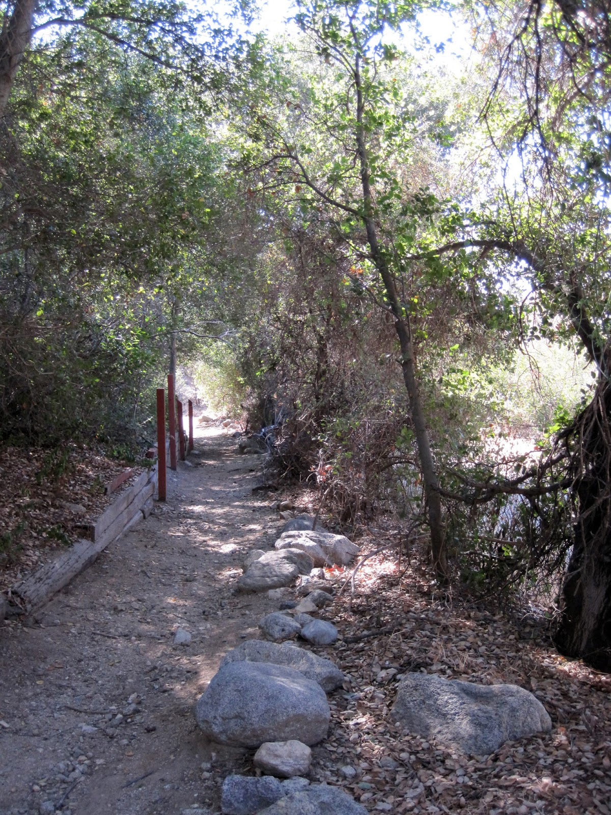 Sherry Schmidt Watercolors: 2017