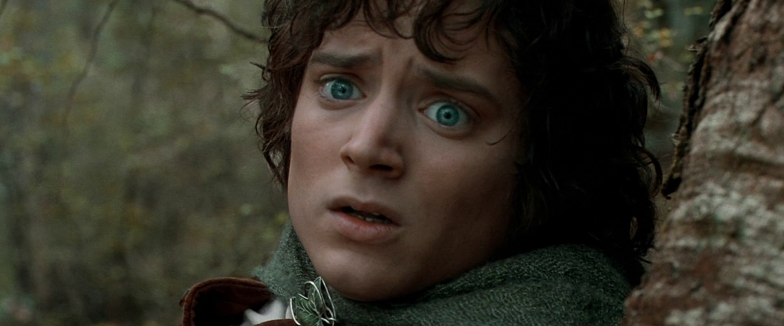 Ian's reading blog: Frodo: The Underdog