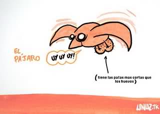 mero´s paradise: el gran pajaro uyuyuy!!