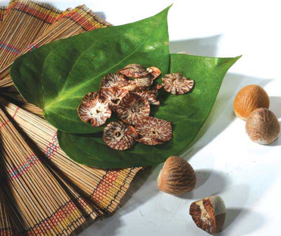 Fruit Warehouse: Betel Nut ( Areca catechu )