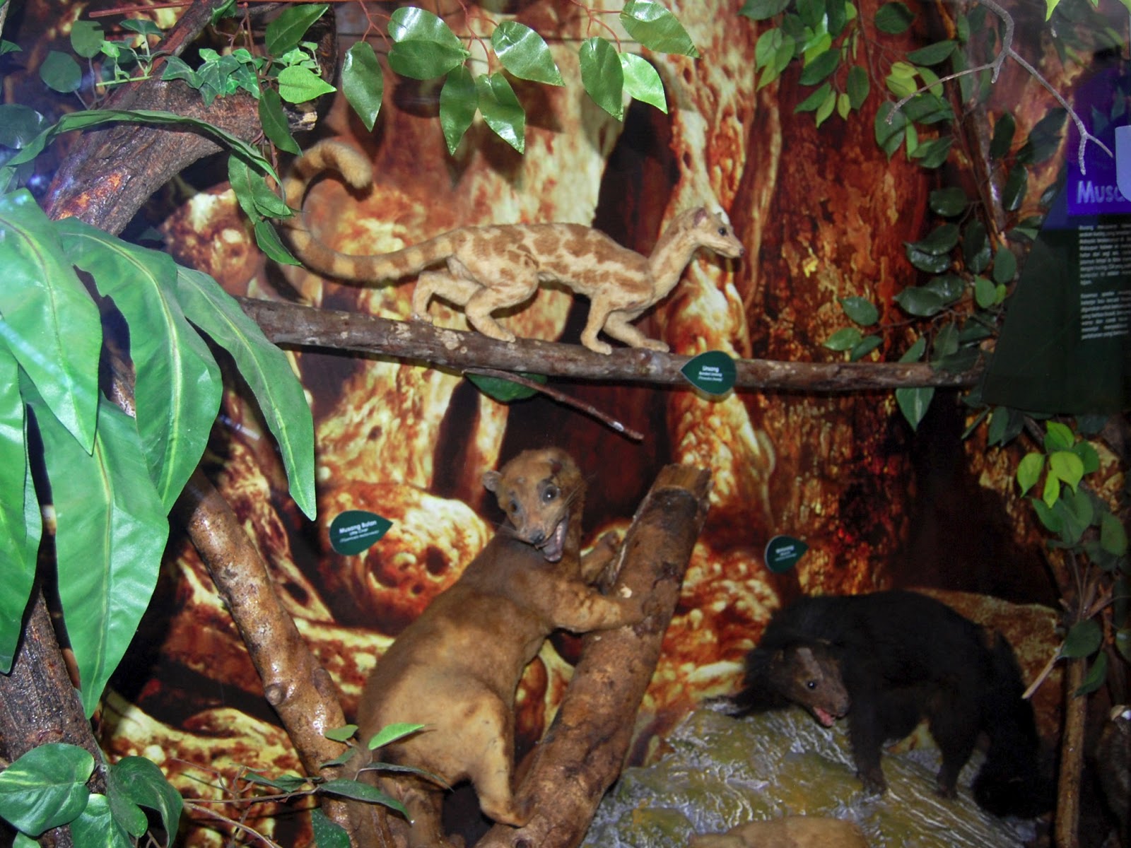 Taiping Photo Gallery: Perak Museum Taiping