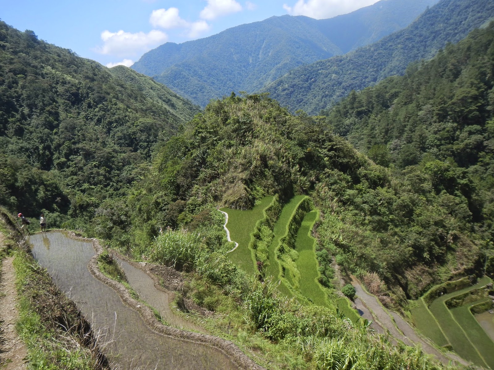 Le voyage de Timhiro : 15/05: Pula >Cambulo > Batad