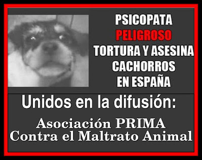 Linde5 - otro enfoque / noticias: Ruth Toledano, otra vez solfeando la ...