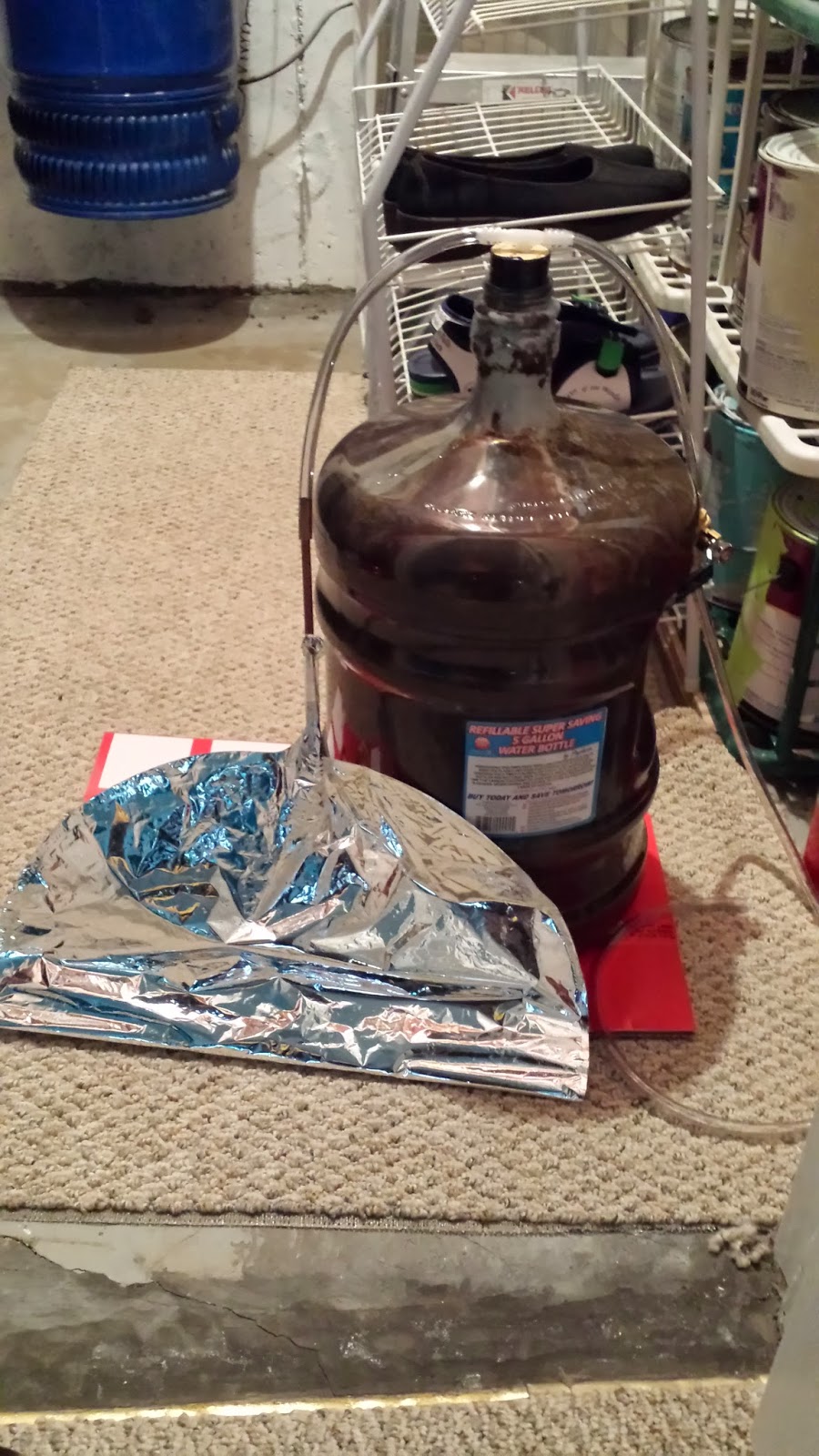 Biogas Science Fair Project