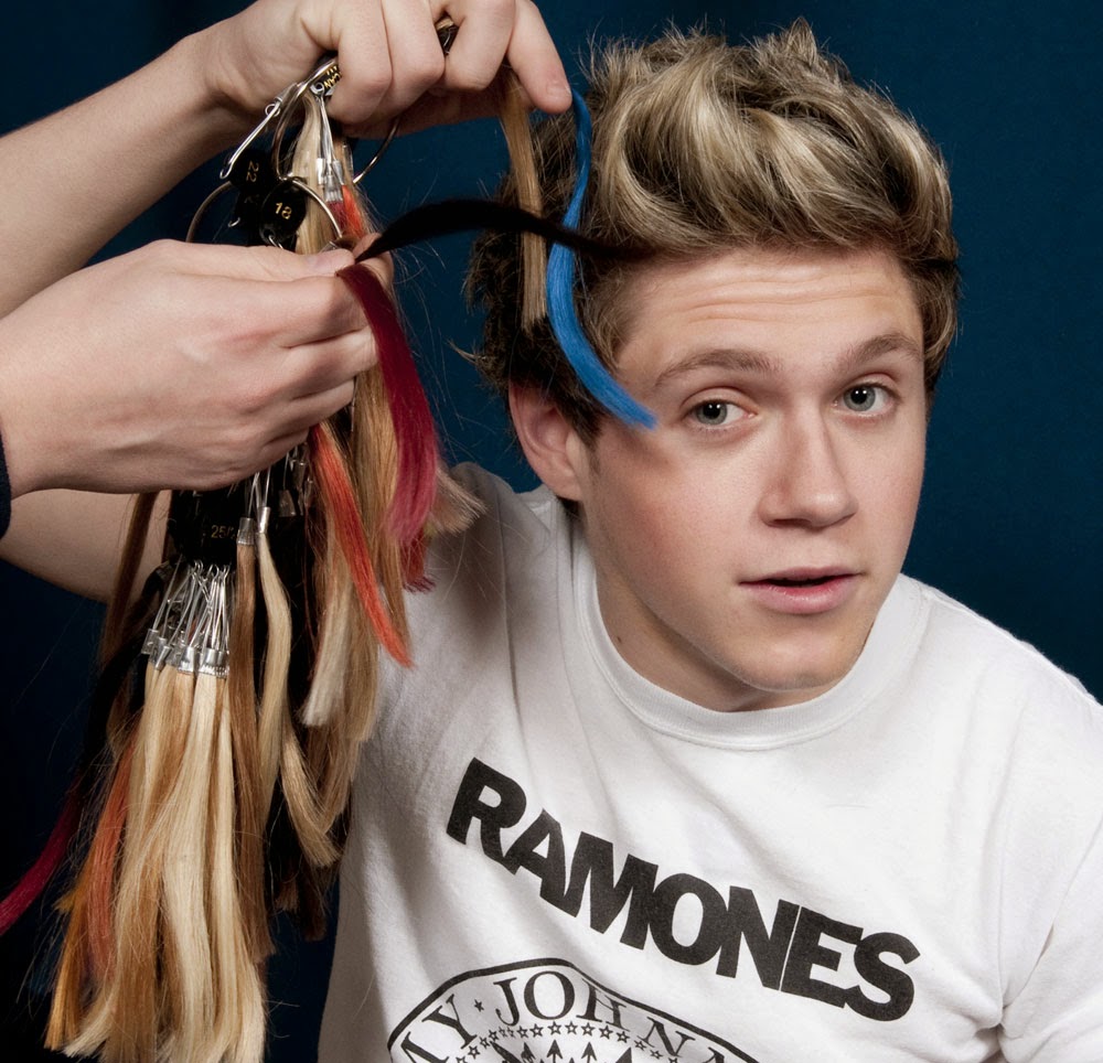Niall Horan Tries New One Direction Makeup (PHOTO)