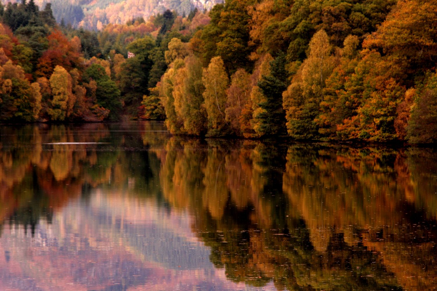 Paisajes para el cole: Zona Templada