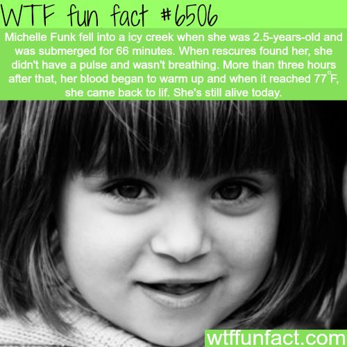 60 Amazing Random Facts | Amazing WTF Facts
