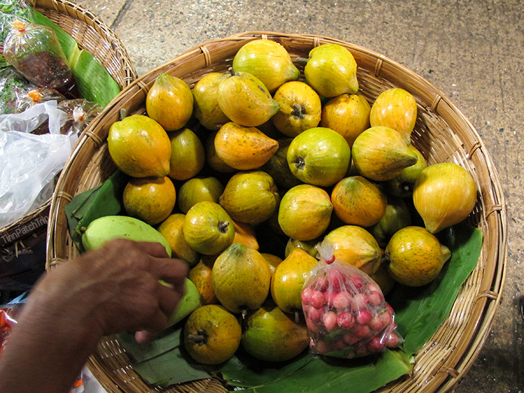 Fruits exotiques // - Tinn Patch Trip