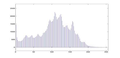 This is Affi's Blog....: DERAJAT KEABUAN (GRAY SCALE) DAN HISTOGRAM CITRA