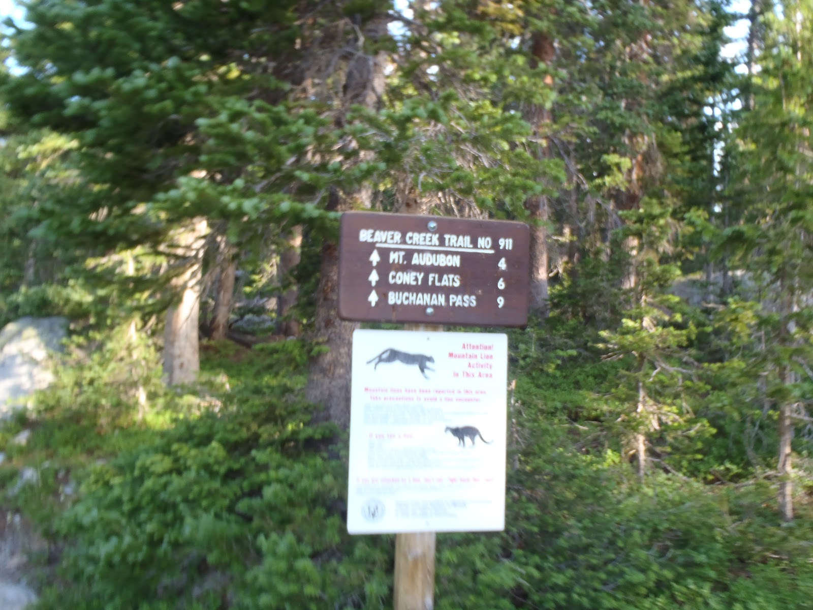 Tales of the Running Hophead: Buchanan/Pawnee Pass 28 Mile Loop Hike ...