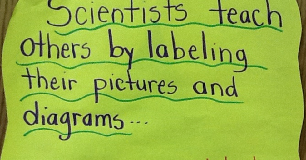 ELA Anchor Charts: Scientists Teach Others by Labeling Their Pictures ...