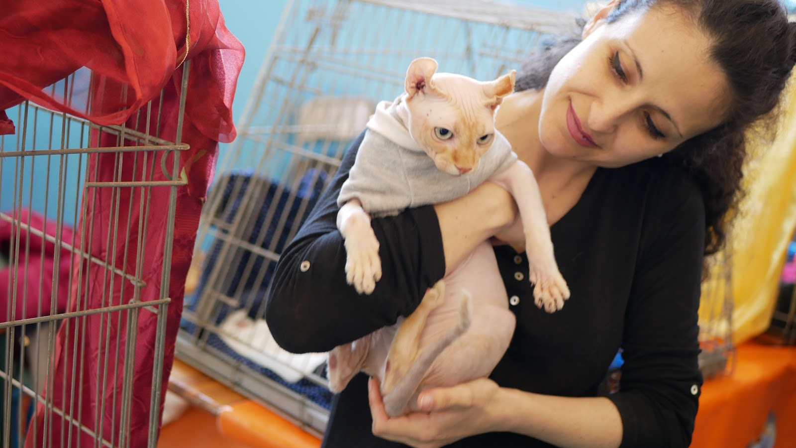 MIAbau! Toelettatura di Silvia Melis