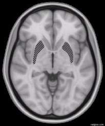 The Cellular Scale: April 2012