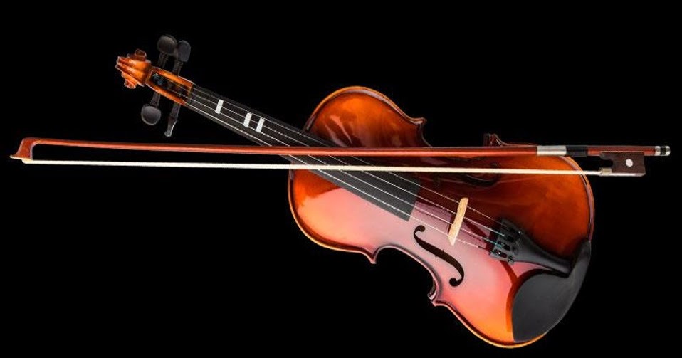 British Music Instruments: Instrumentos de Orquestra Clássica