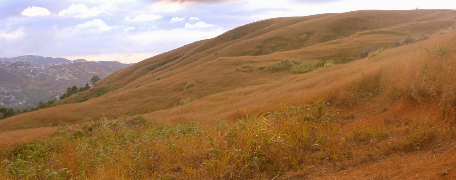 La Trinidad Tourism: Mt. Yangbew of Brgy. Tawang, La Trinidad, Benguet