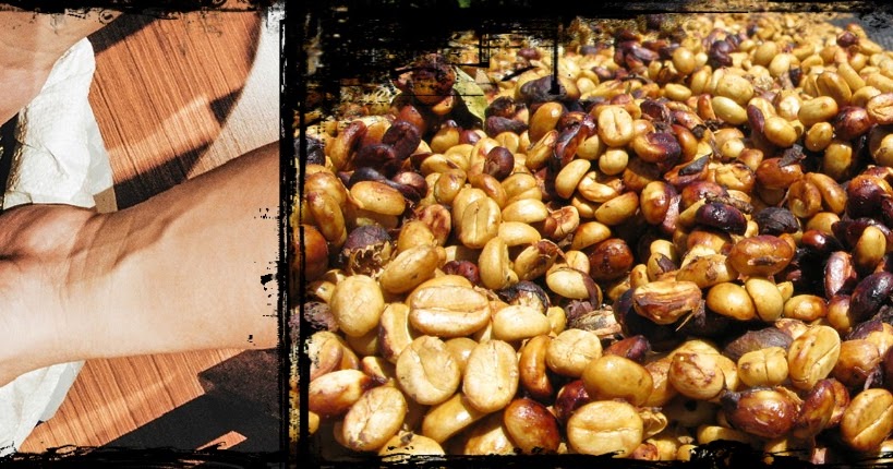 NATURAL DAN HONEY PROCESS KOPI