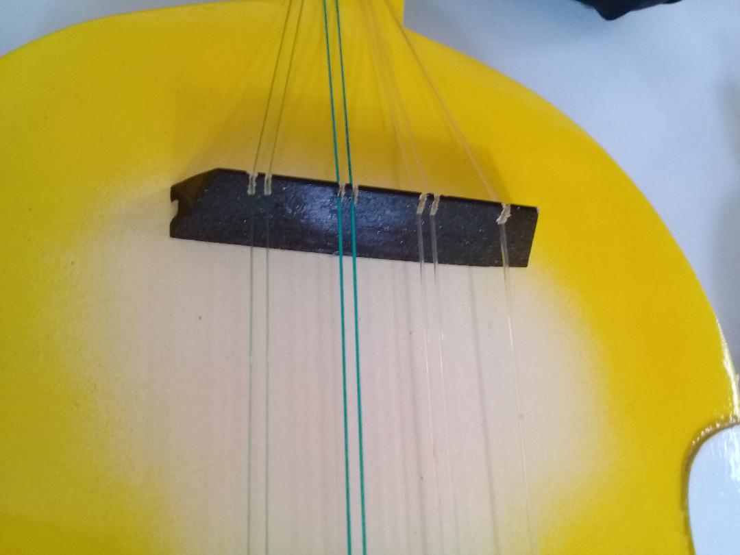 Panting, Alat Musik Tradisional Kalimantan Selatan