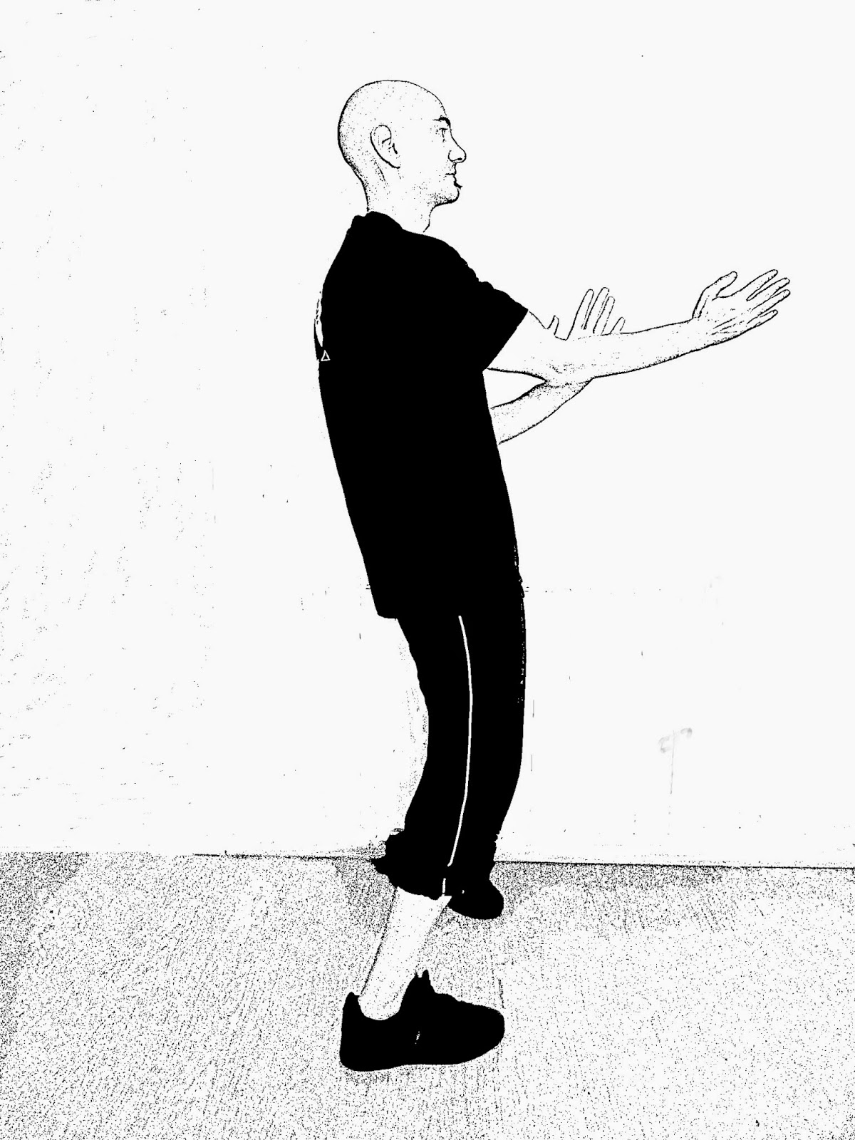 VingTsun Barcelona: ESTRUCTURA Y POSICIÓN