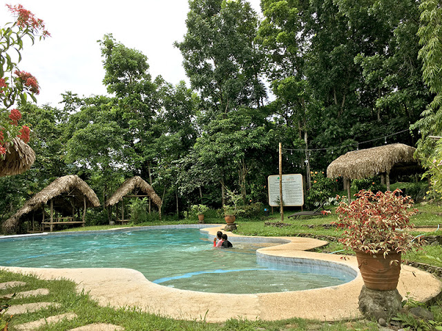 Mount Purro Nature Reserve: A Forest Farm Eco-Retreat in Calawis ...