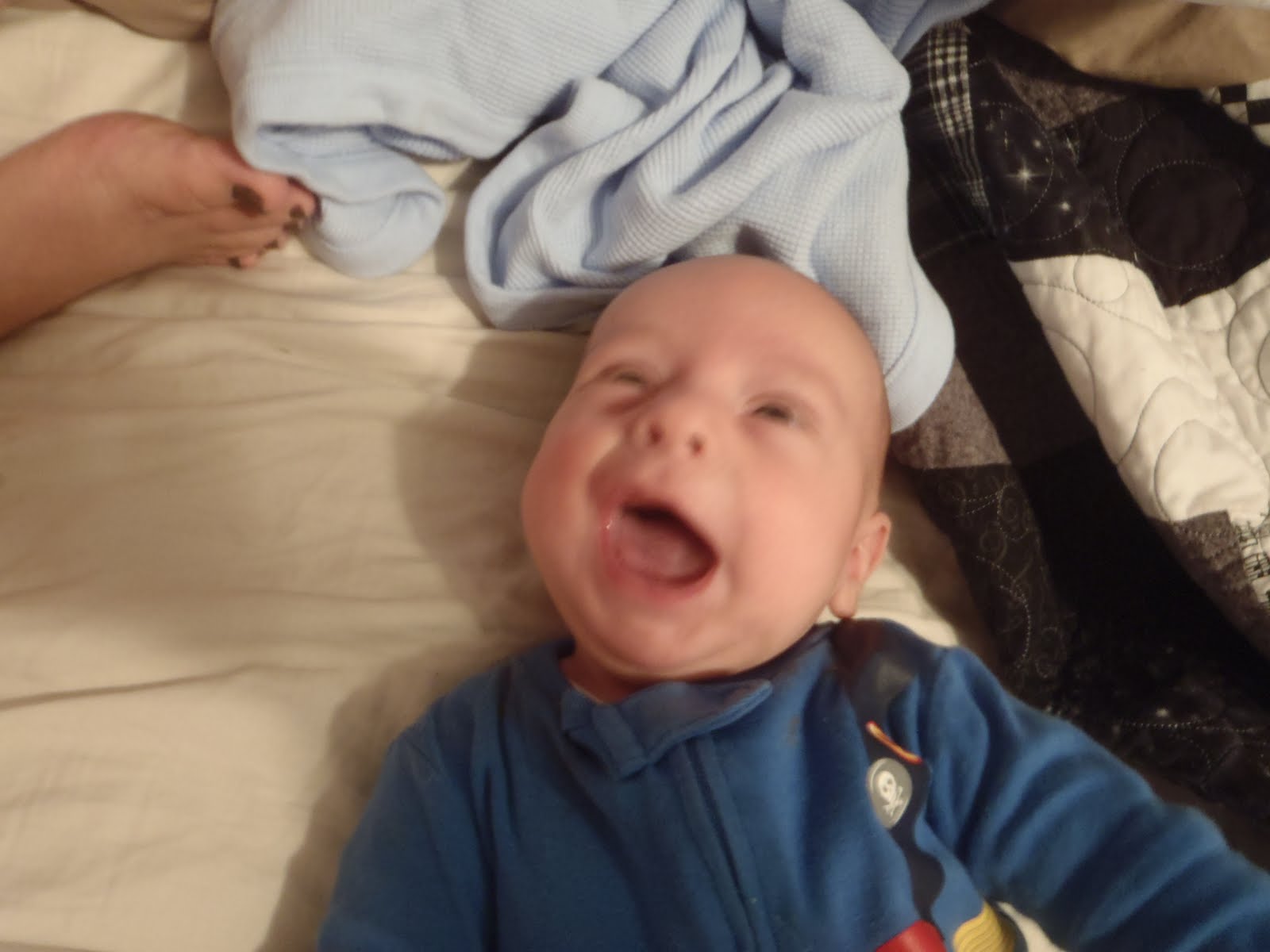 1/4 of a Dozen Eggers