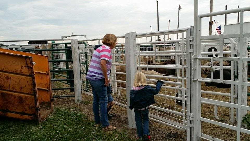 Sharing our family with you: New Windsor Rodeo