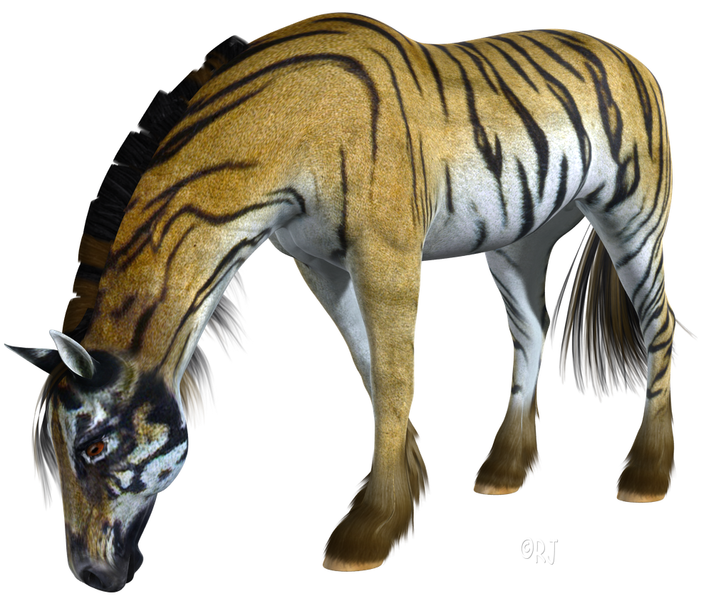 RJs Bits Bobs Props & Pieces: Fantasy Ponies I (Big Cats)