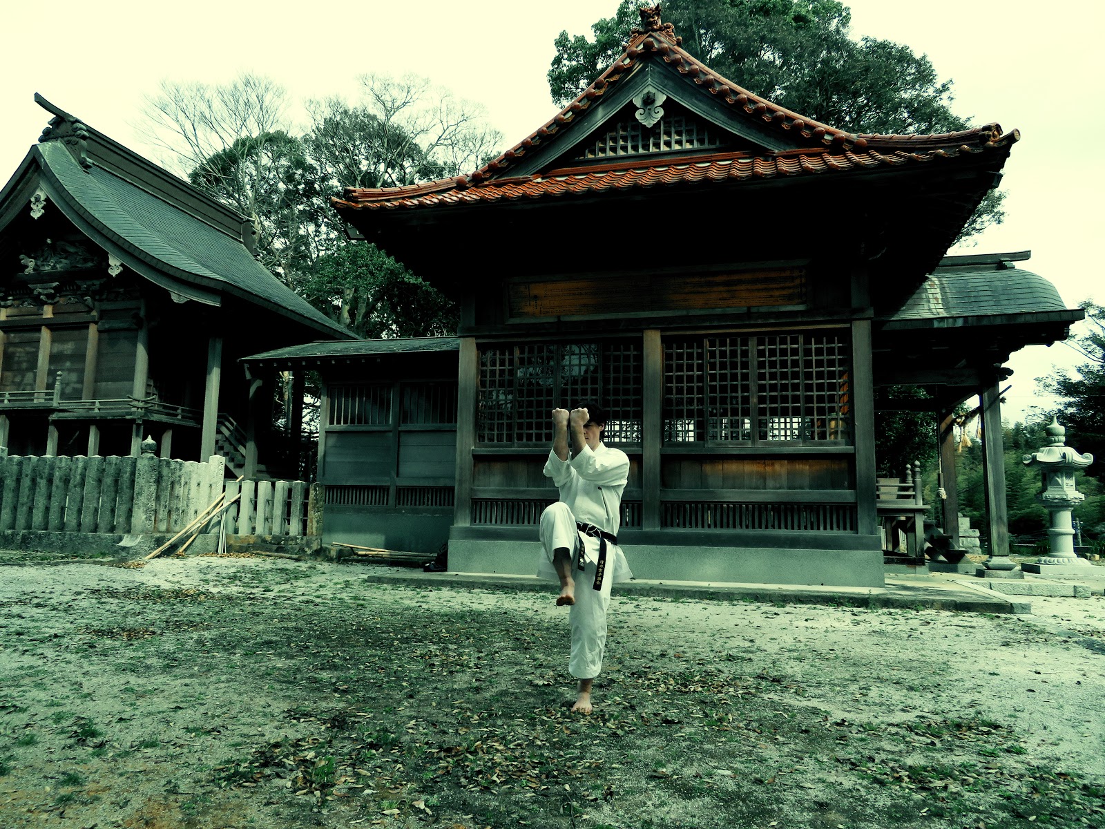 André Bertel's Karate-Do: Gohon and Kihon Ippon Kumite is KIHON TRAINING