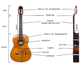 Lectii de chitara: Sa incepem cu ceva teorie...