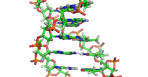 Biomoléculas: Importancia de las biomoléculas