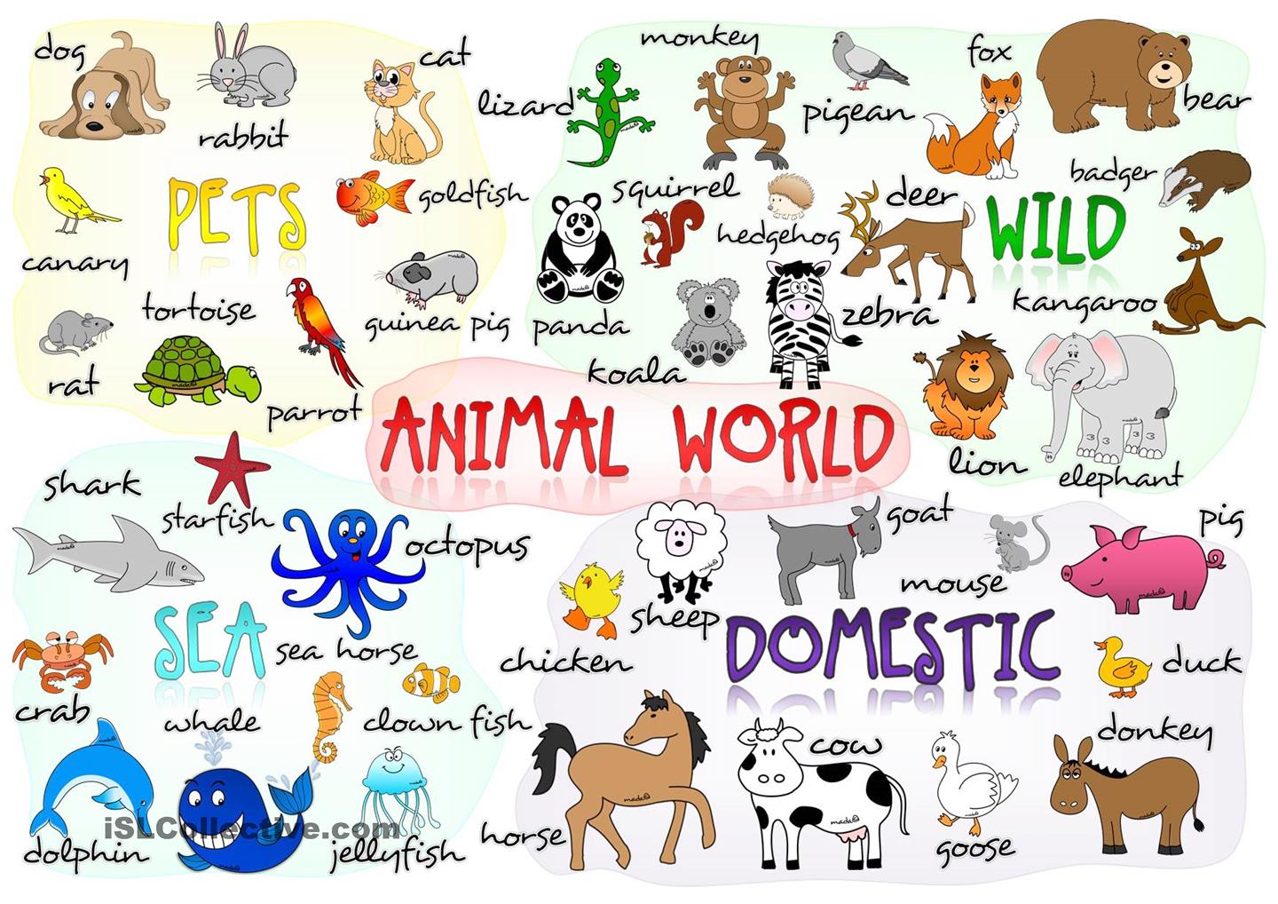 CeipToursEnglish3: UNIT 8: ANIMALS