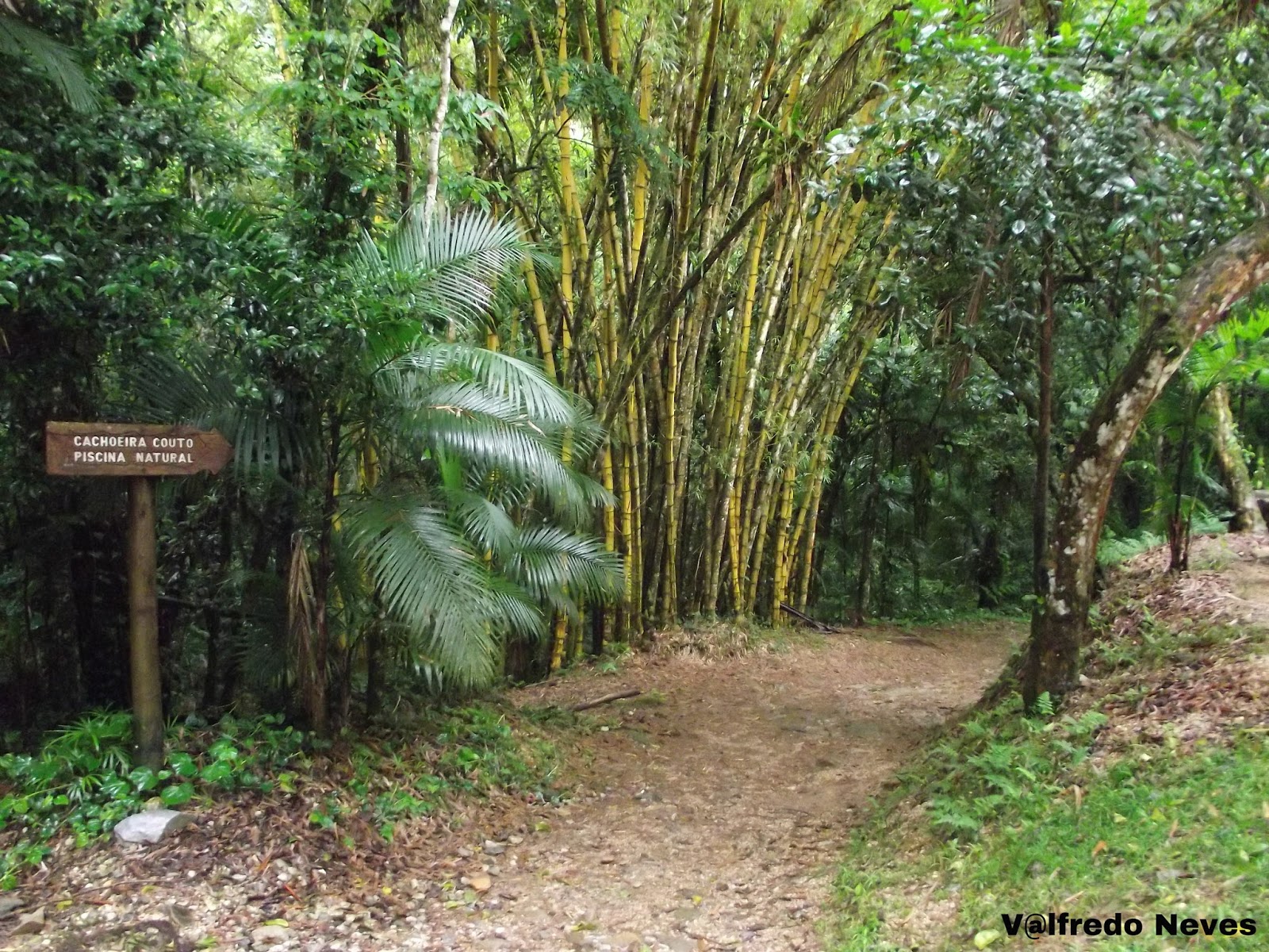 E O BIXO PEGANDO...: PETAR - Parque Estadual Turístico do Alto Ribeira.