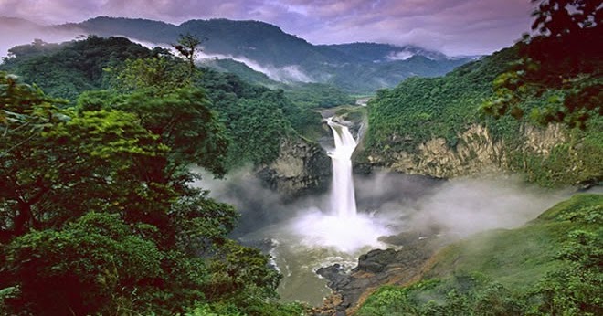 HERMOSURAS DE LA REGION AMAZONAS: flora y fauna