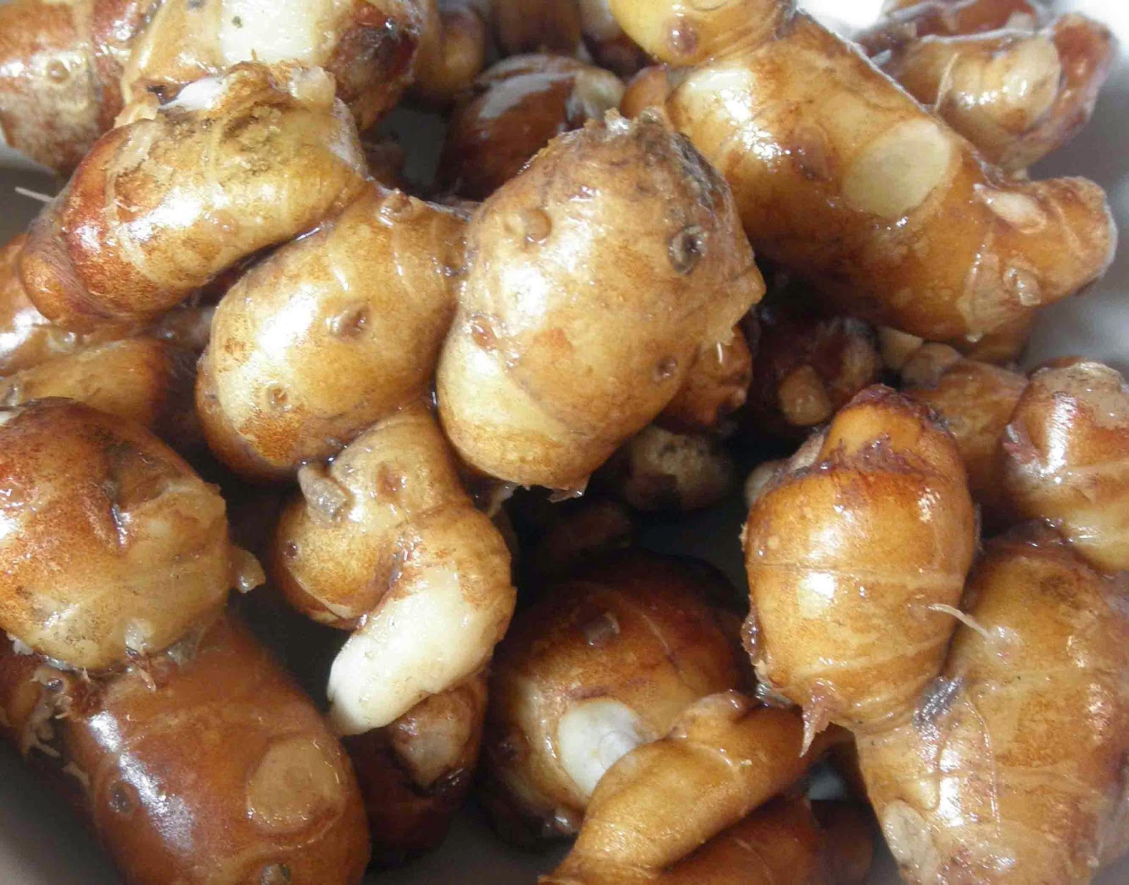 Manfaat dan Khasiat Kencur Bagi Kesehatan | Tanaman Obat | Manfaat Dan ...